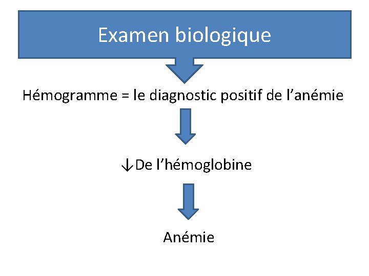 QUE FAIRE DEVANT UNE ANEMIE DEFINITION Anmie du