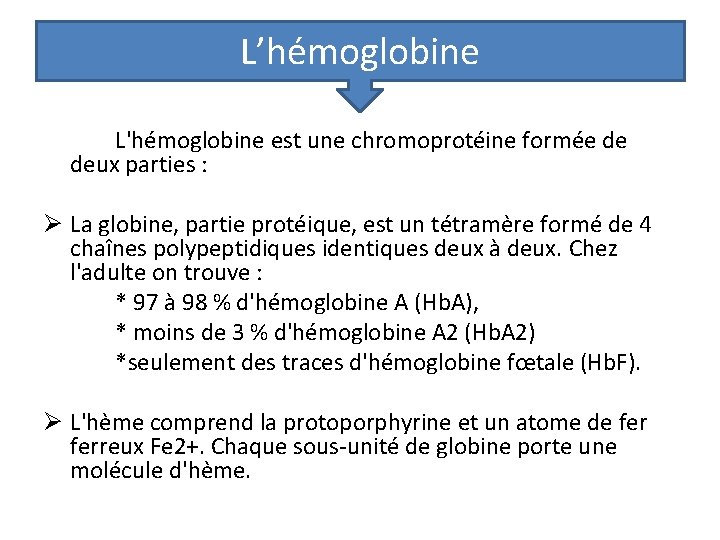 QUE FAIRE DEVANT UNE ANEMIE DEFINITION Anmie du