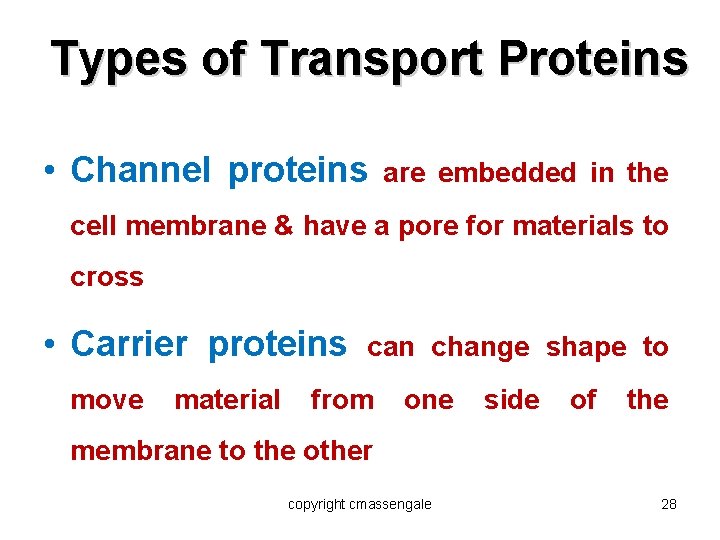 Plasma Membrane Structure and Function Homeostasis Balanced internal