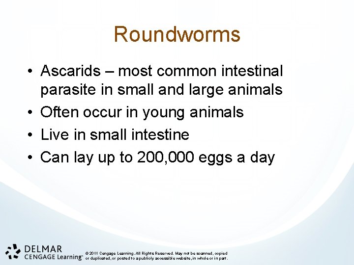 Chapter 38 Microbiology and Parasitology as Disease Processes