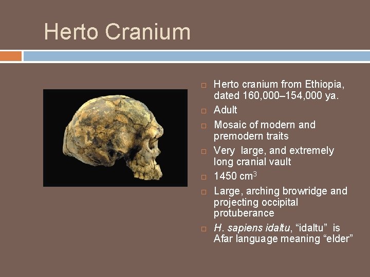CHAPTER 11 The Origin and Dispersal of Modern