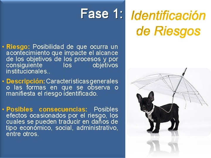 ADMINISTRACIN DE RIESGOS Metodologa de Administracin de Riesgos