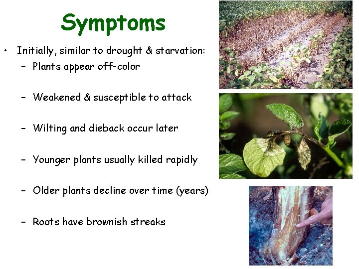 Introduction to Plant Pathology AND environmental impact Disease
