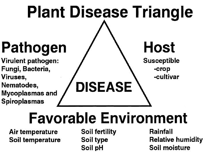 Introduction to Plant Pathology AND environmental impact Disease