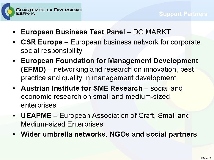 Diversity Charter Spain Objectives structure activities and plan