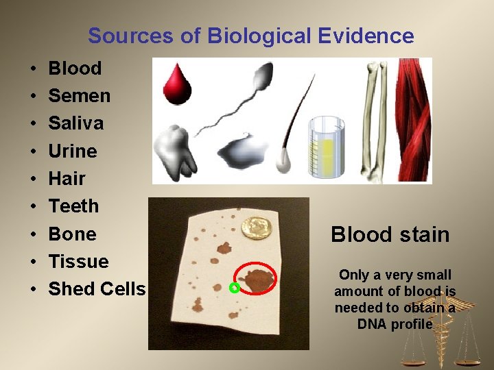 Courtroom Knowledge of Forensic Technology Workshop Forensic DNA