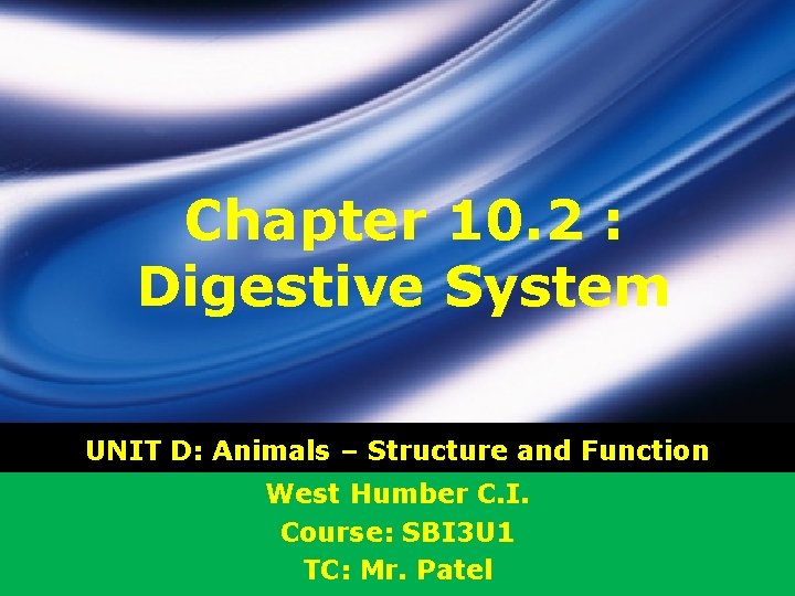 Chapter 10 2 Digestive System UNIT D Animals