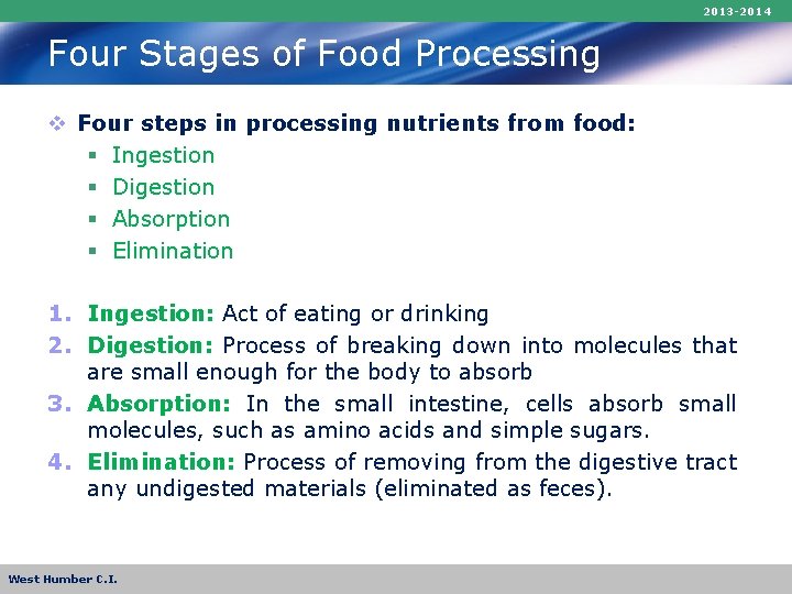 Chapter 10 2 Digestive System UNIT D Animals
