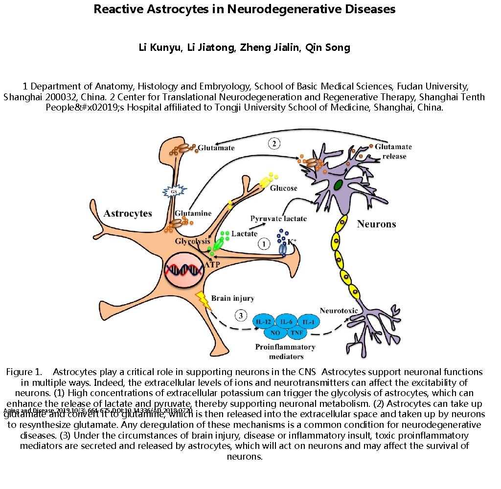 Reactive Astrocytes in Neurodegenerative Diseases Li Kunyu Li