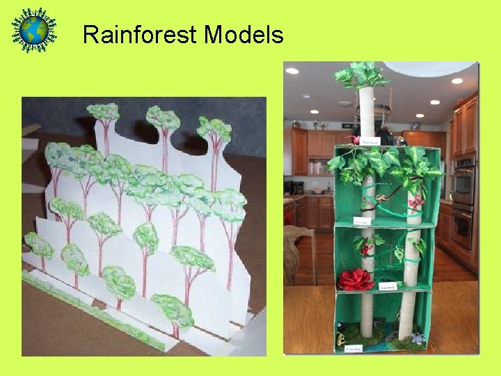 World Class Citizens South America through Rain Forests