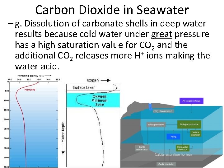Chemical and Physical Structures of the Ocean Oceans