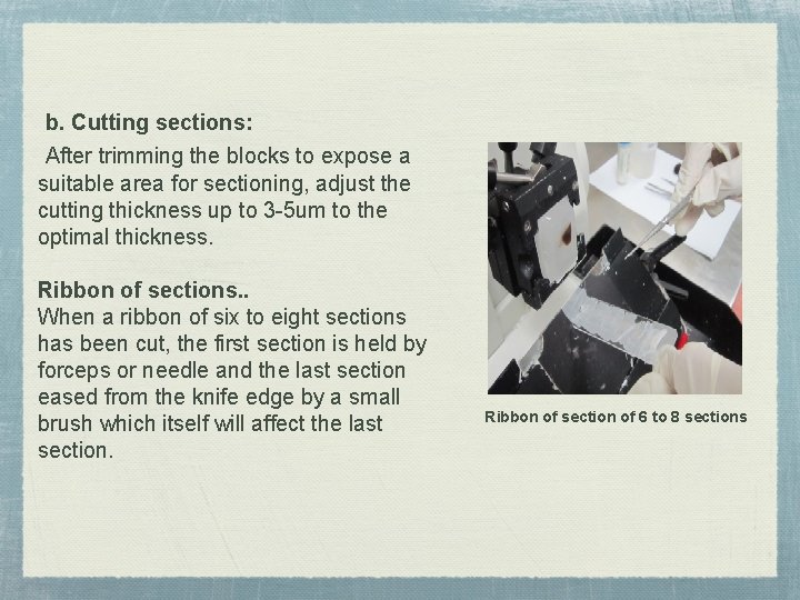 COURSE 322 HISTOLOGICAL TECHNIQUE PRACTICAL 1 INTRODUCTION and