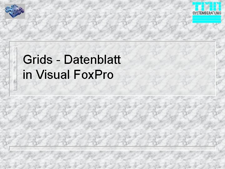 Grids Datenblatt in Visual Fox Pro Aufbau von