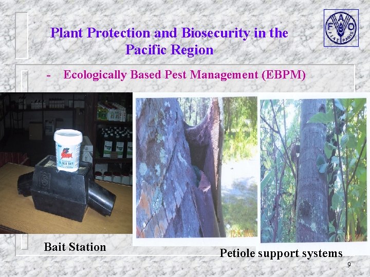 Plant Protection and Biosecurity in the Pacific Region