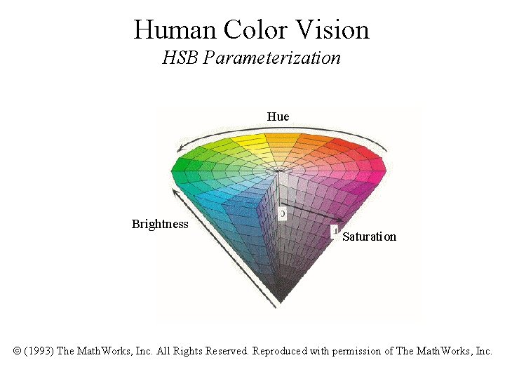 Display of Orthogonal Information Using Opponent Colors Processing