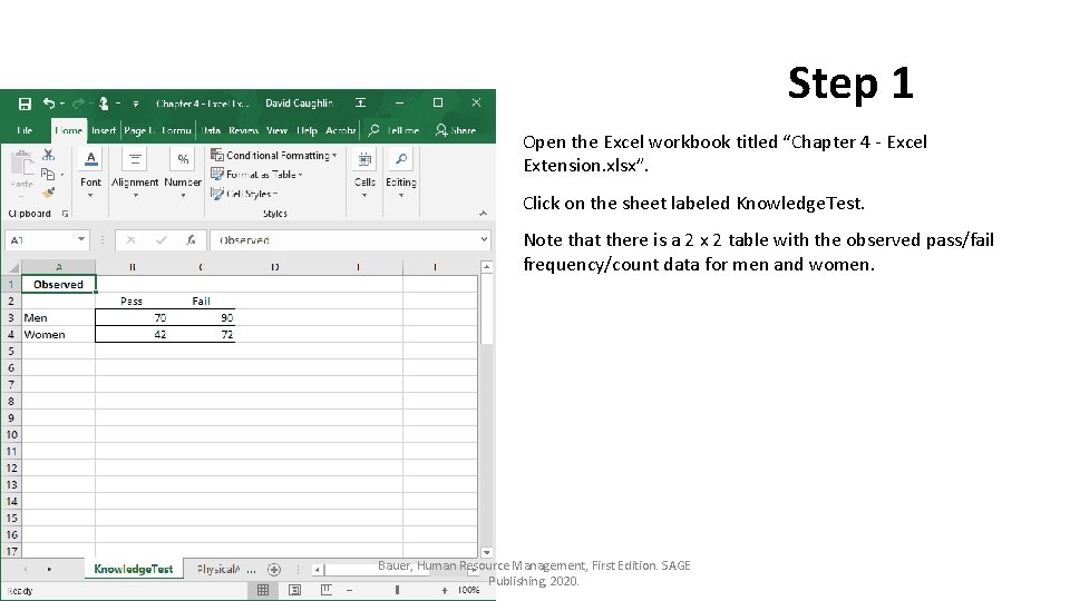 Chapter 4 Excel Extension Now You Try Using