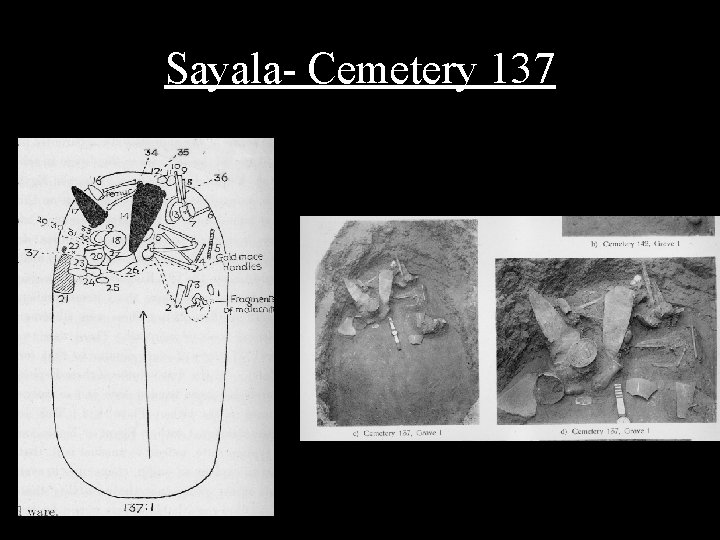 Royal Connections between the AGroup and Predynastic Egypt