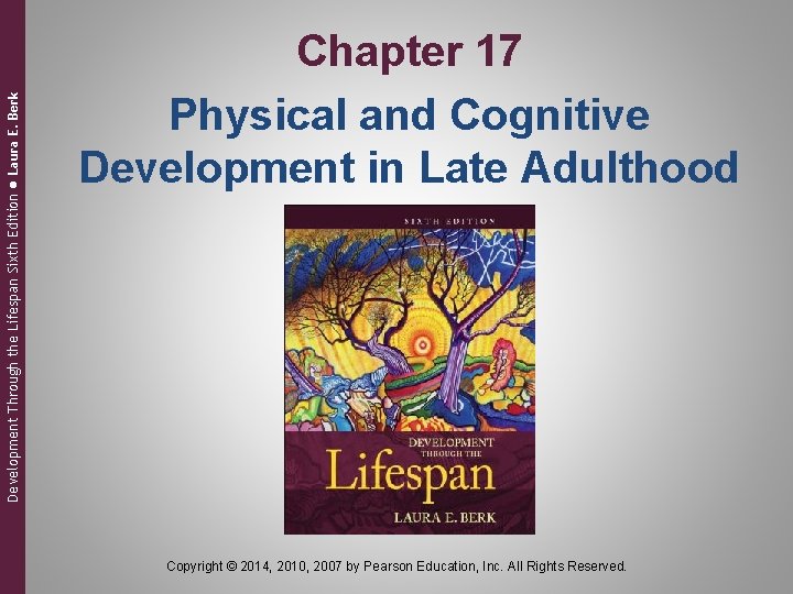 Development Through the Lifespan Sixth Edition Laura E