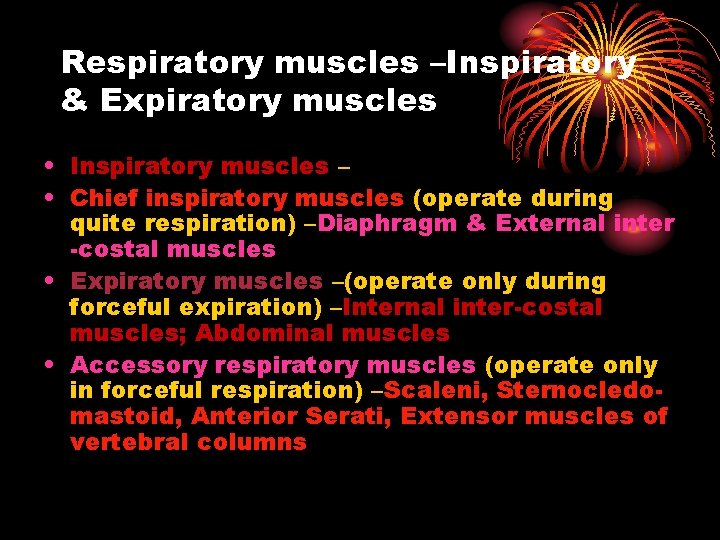 Mechanics of respiration By Dr M B Bhat