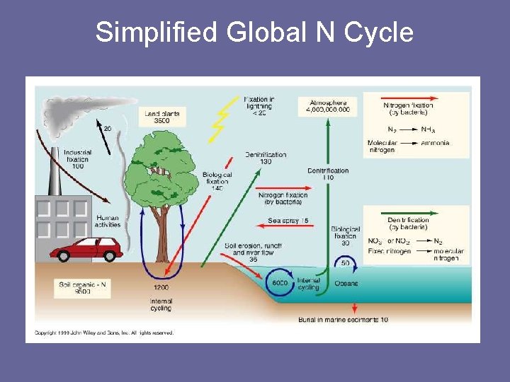 Human Disruption of the Global Nitrogen Cycle Alan