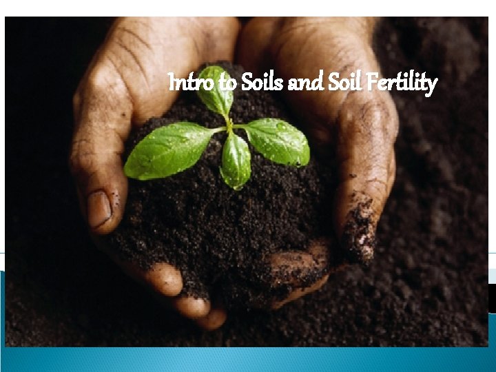 Intro to Soils and Soil Fertility What is