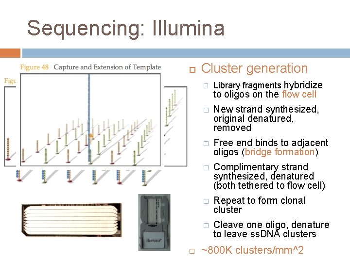 NextGeneration Sequencing of Microbial Genomes and Metagenomes Christine