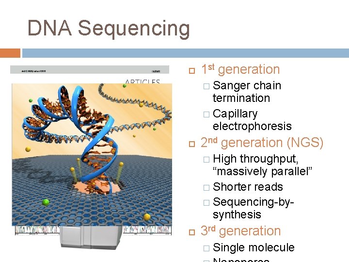 NextGeneration Sequencing of Microbial Genomes and Metagenomes Christine