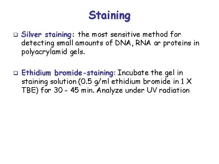 Mutation Analysis using Temperature Gradient Gel Electrophoresis Overview