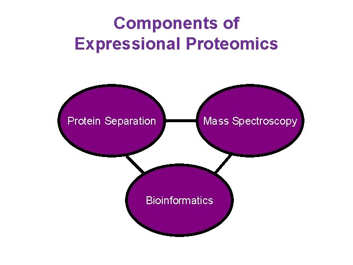 Mass spectrometry and proteomics Eva Dimitrova and Jessica