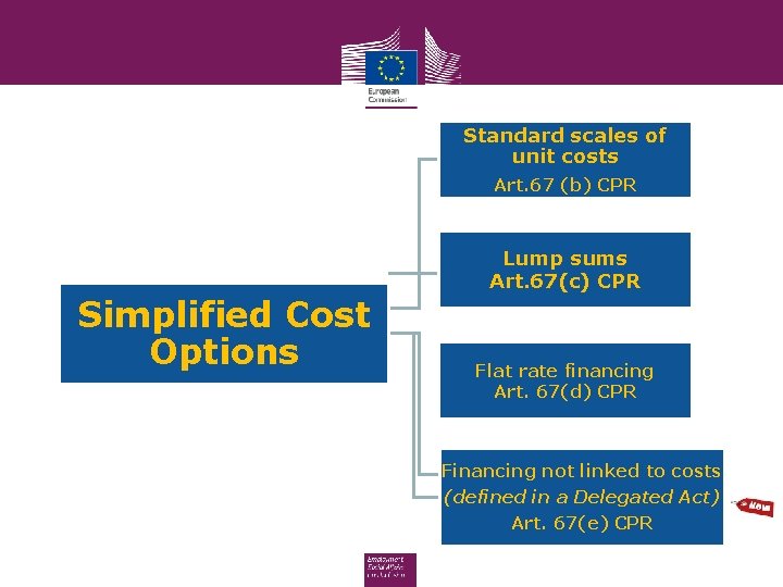 Simplified Cost Options basics implementation Michael Grosse DG