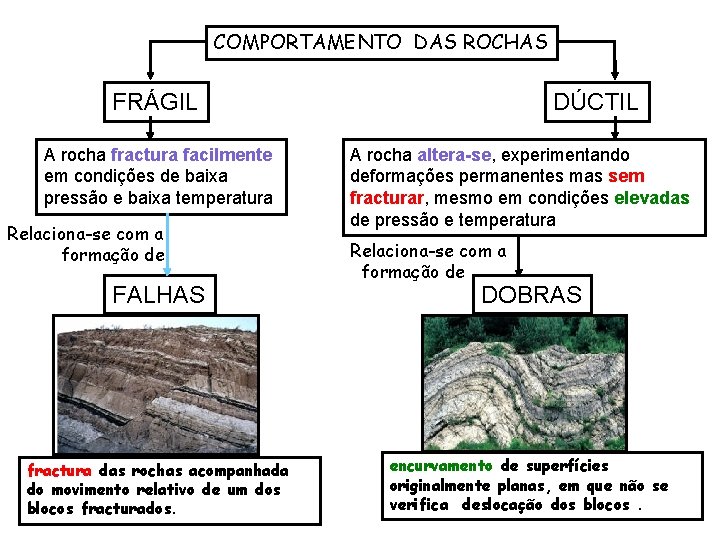 Como pode manifestarse o dinamismo interno da Terra