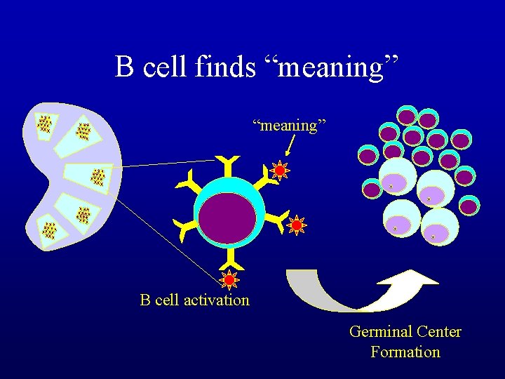 Diagnosis and Treatment of Multiple Myeloma Mark B