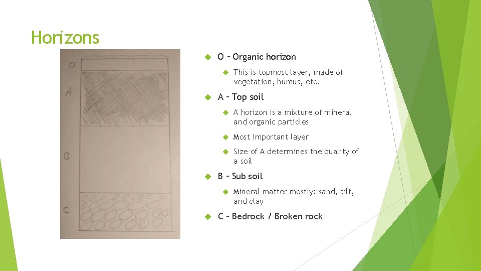 Soil Profiles Leaving Cert Agricultural Science Classification Soil