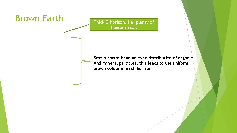 Soil Profiles Leaving Cert Agricultural Science Classification Soil