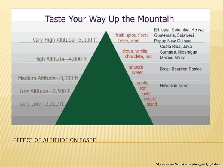 THE SCIENCE OF BREWING COFFEE Kingdom Plantae Division