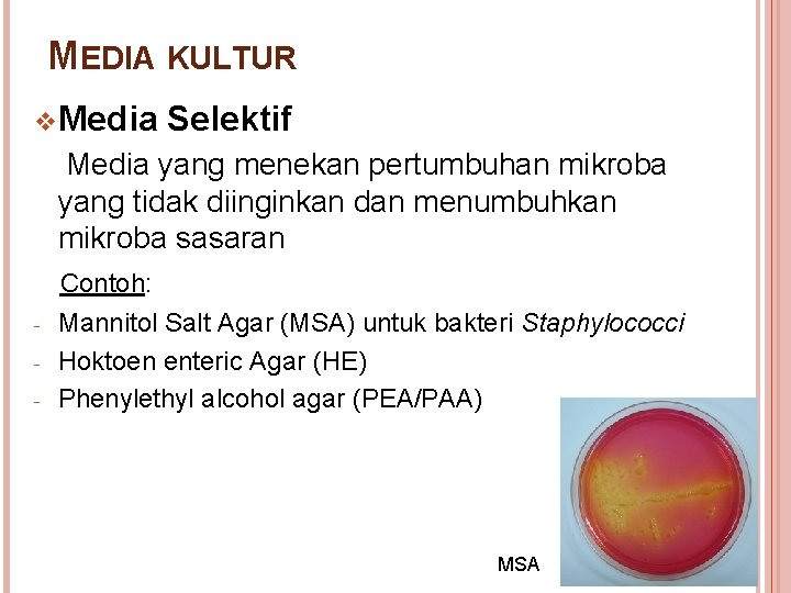 PERTUMBUHAN MIKROBA PERTUMBUHAN Pertumbuhan pada organisme yang makro