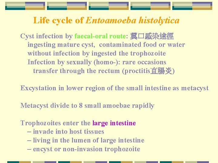 Amoebae Infection Man Pathogenic intestinal amoeba Entamoeba histolytica
