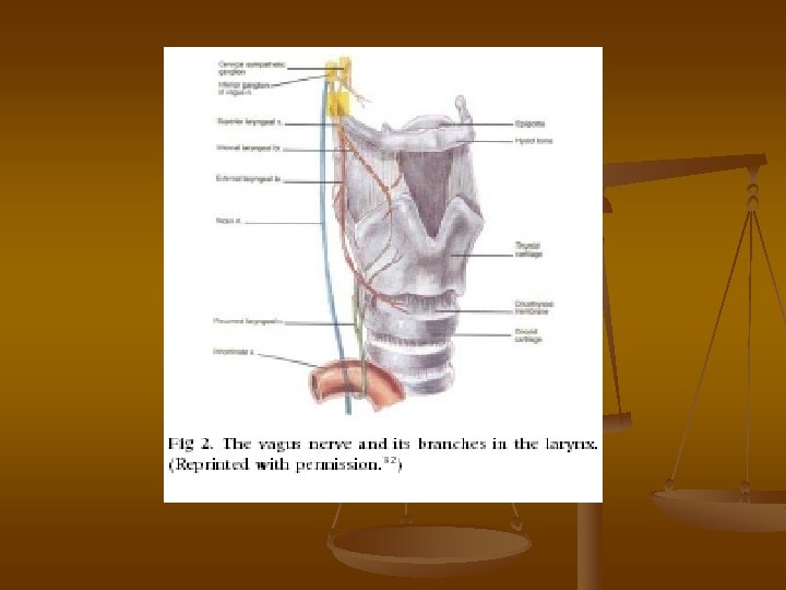 Airway regional anesthesia for awake fiberoptic intubation From