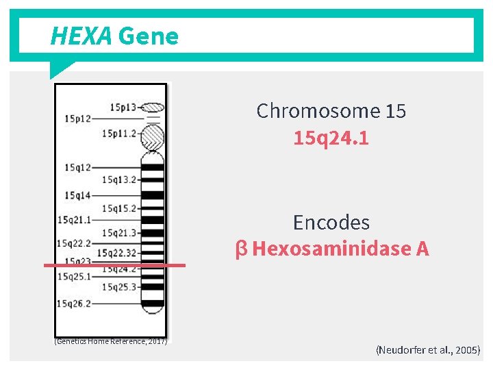 Tay Sachs Disease Group 5 Bhandari M Bhola