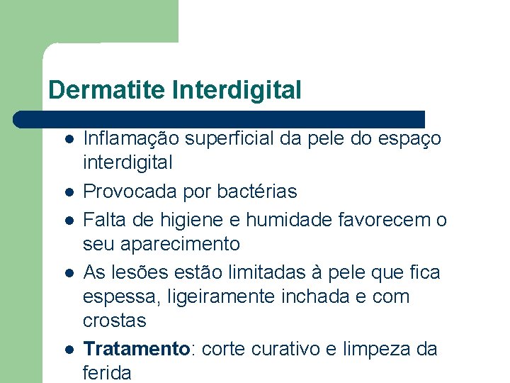 Patologias Podais em Bovinos O que so e
