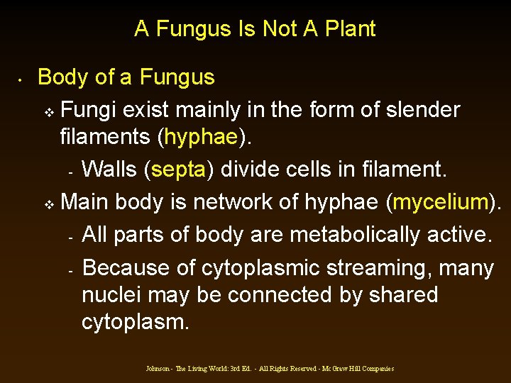 Evolution of Multicellular Life Chapter 15 Copyright Mc