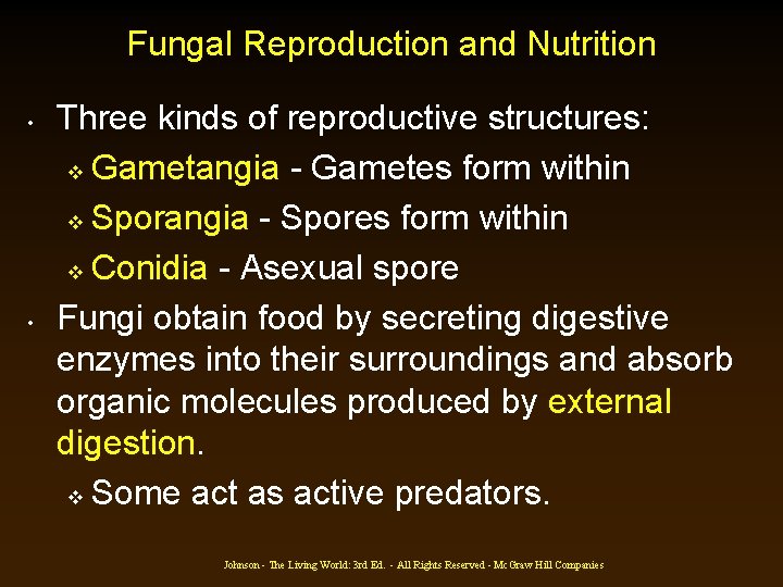 Evolution of Multicellular Life Chapter 15 Copyright Mc