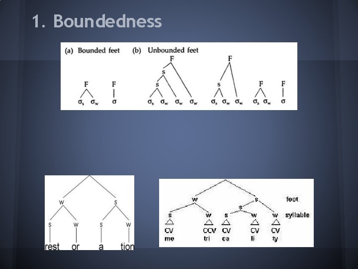 Metrical Stress Theory Julie Nelson Cailey Moe and