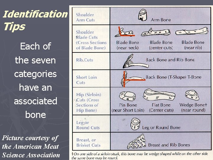 Retail Meat Identification Purpose To educate and expose