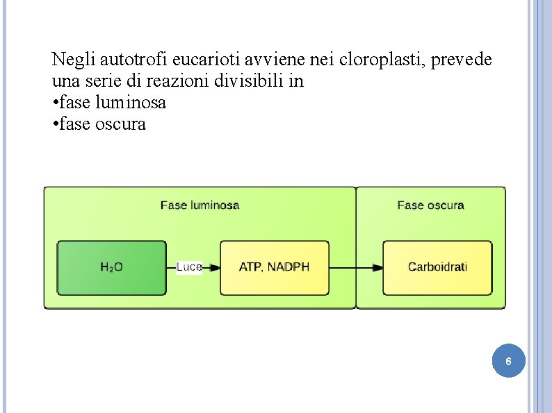 LA FOTOSINTESI LA RESPIRAZIONE CELLULARE LA FERMENTAZIONE 1