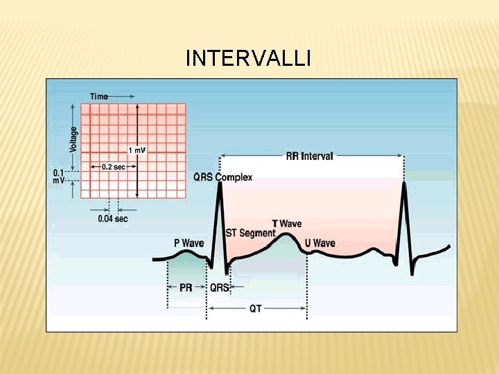 ECG COSA SAPERE PER NON FARSI PRENDERE DAL
