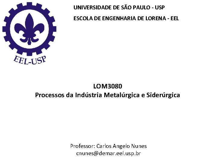 UNIVERSIDADE DE SO PAULO USP ESCOLA DE ENGENHARIA