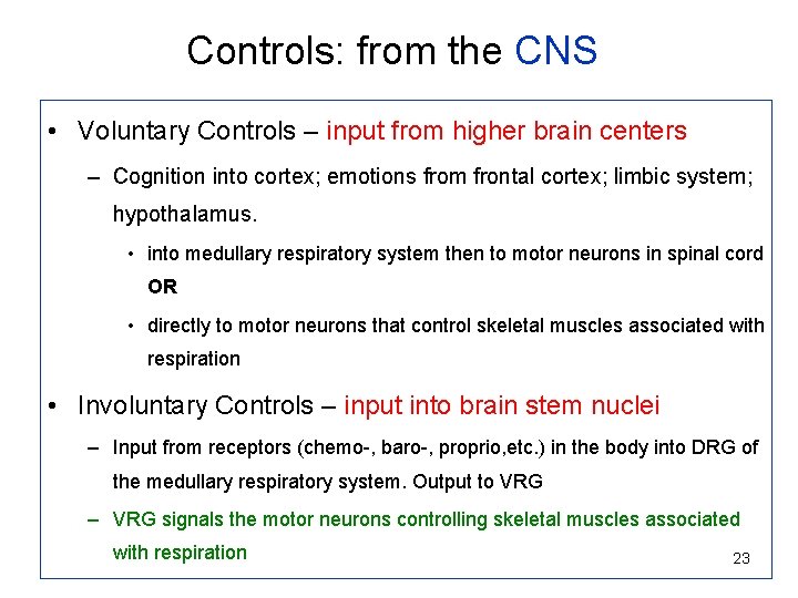 The Plan Introduction general concepts Anatomy Mechanics moving