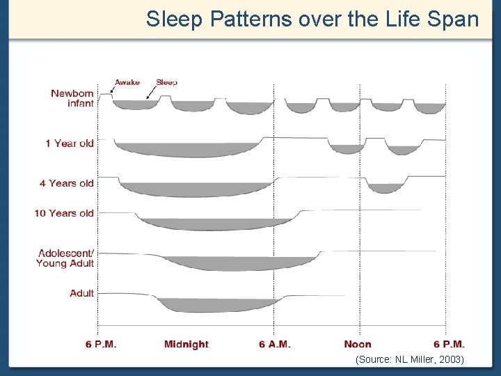 Scheduling Sleep A Clear Mind A Combat Edge