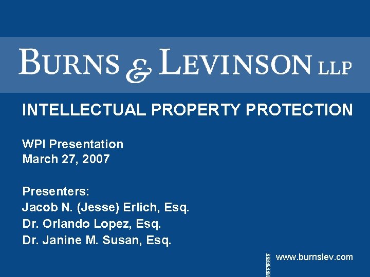 INTELLECTUAL PROPERTY PROTECTION WPI Presentation March 27 2007